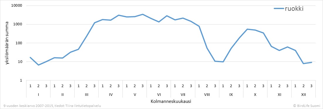 Birdlife Suomi | rantakanat-lokit